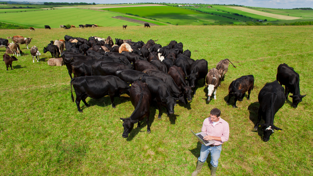 Software + Services — ABRI