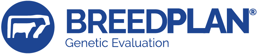 Software + Services — ABRI