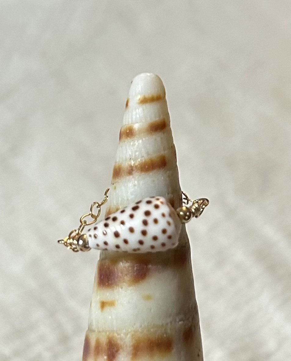 Size Guide — Salt & Water Co.