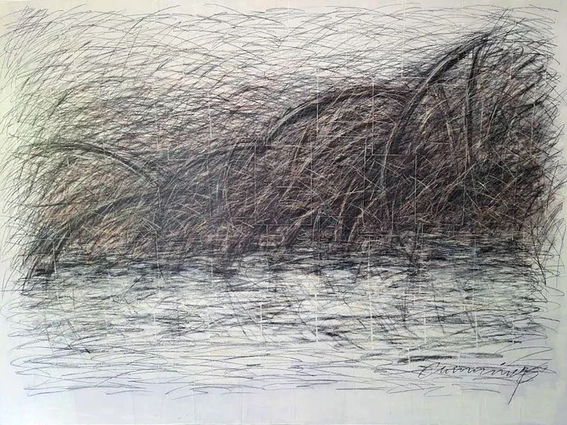 Artists’ Gallery — Port Douglas Artists Inc.