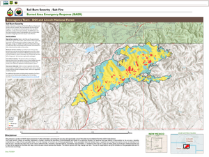South Fork Fire Burned Area Emergency Response (BAER) Report - July ...