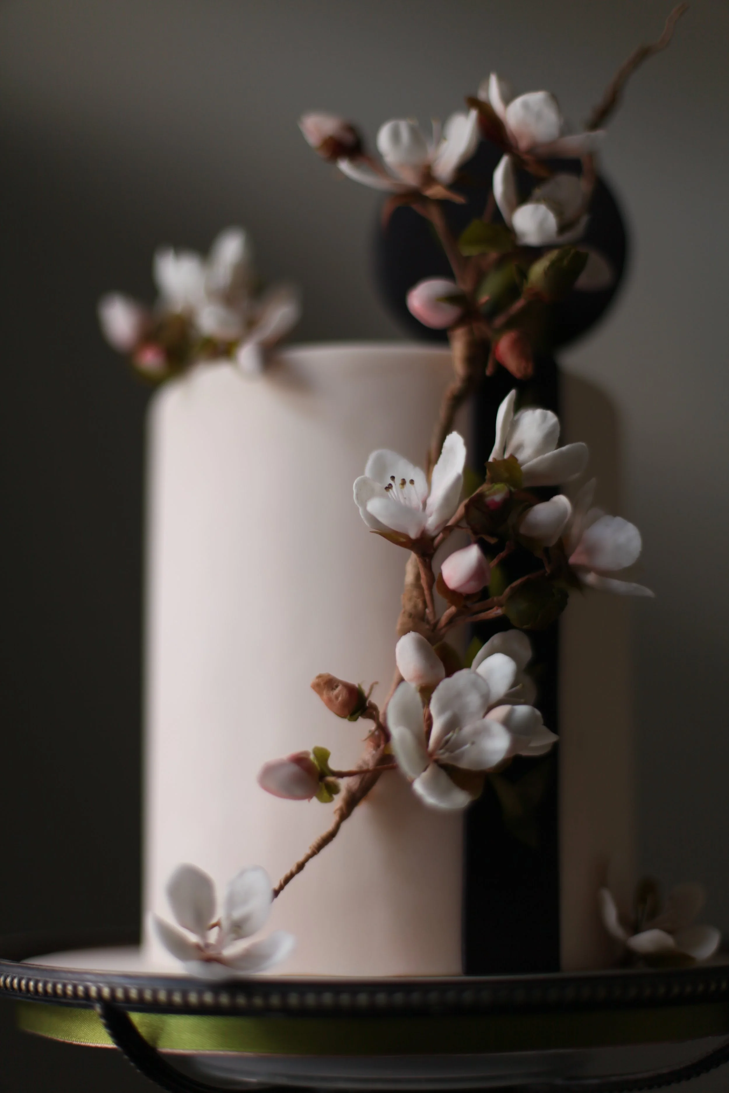 Custom Designed Celebration Cakes