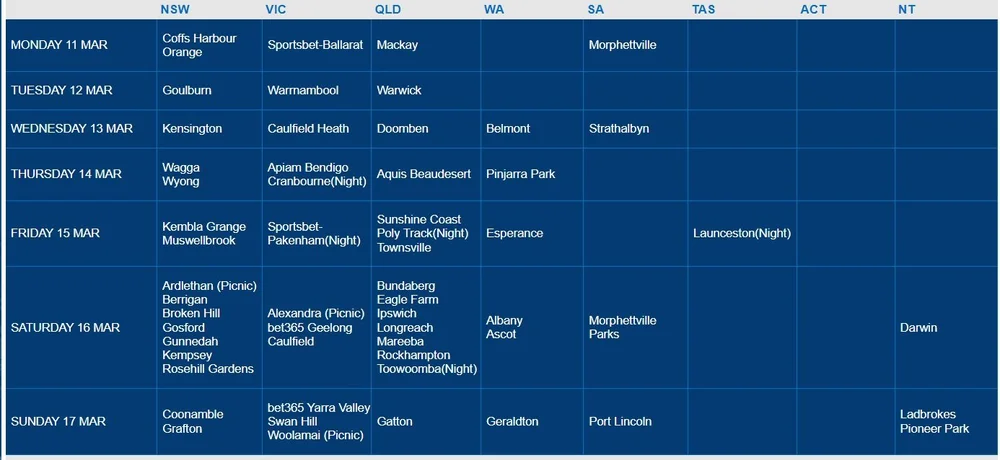 How to Read a Form Guide — From A to Zyrg