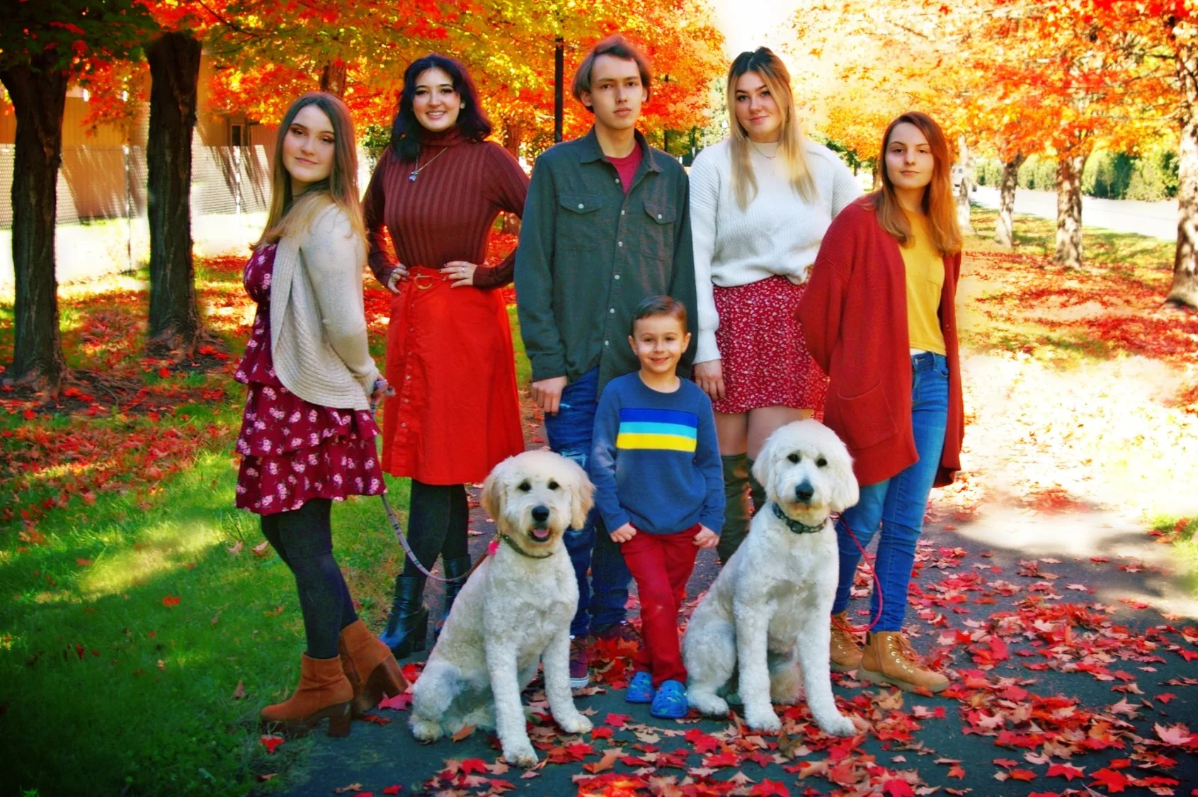 Oregon's Legendary Goldendoodles | Find Your Perfect Doodle Now