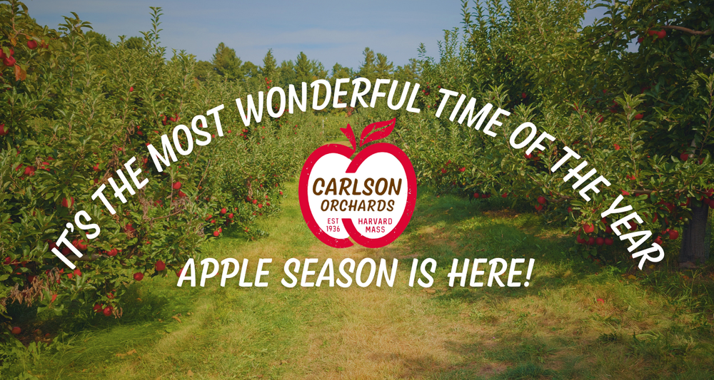 Carlson Hard Cider