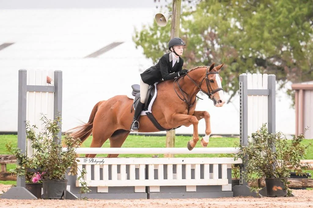 MB Sport Horses LLC - Texas horse training and sales