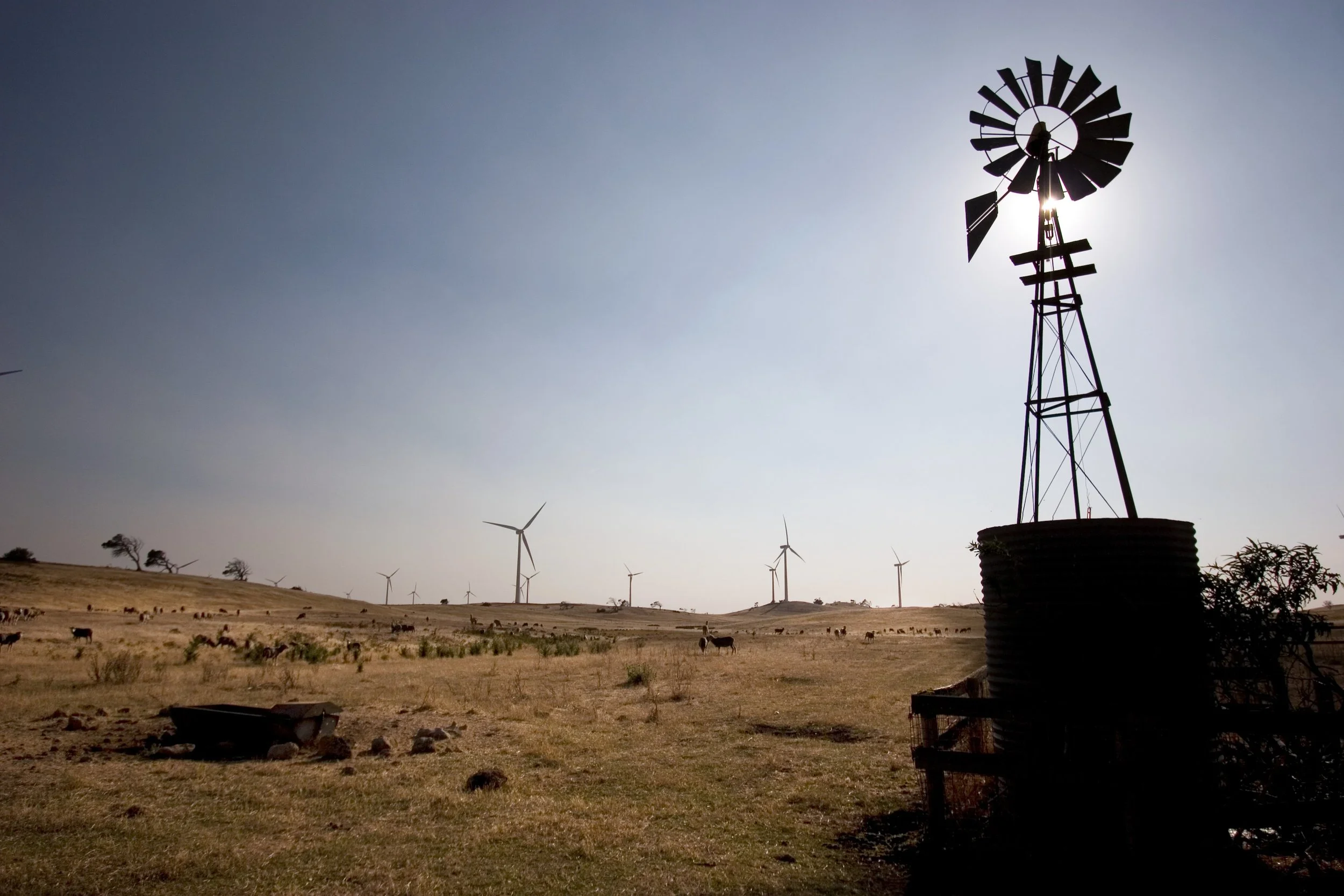 News | Tara Wind Farm