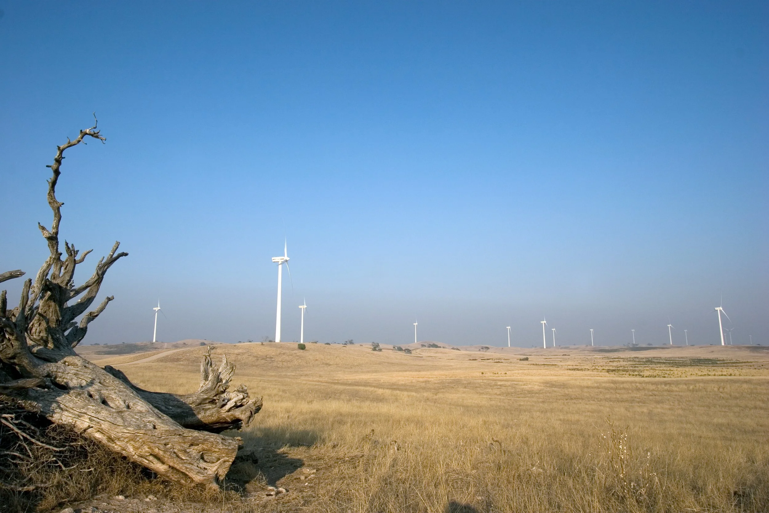Frequently Asked Questions | Tara Wind Farms