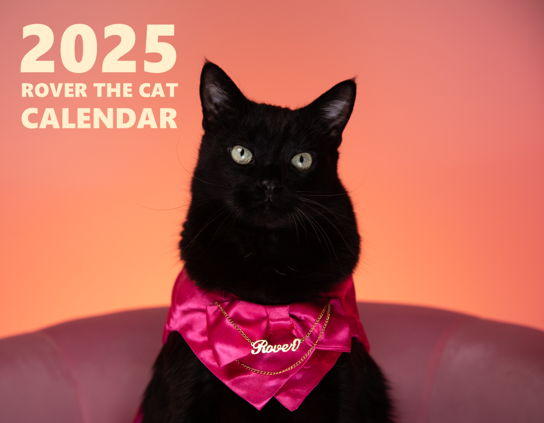 Store 2 — Rover The Cat