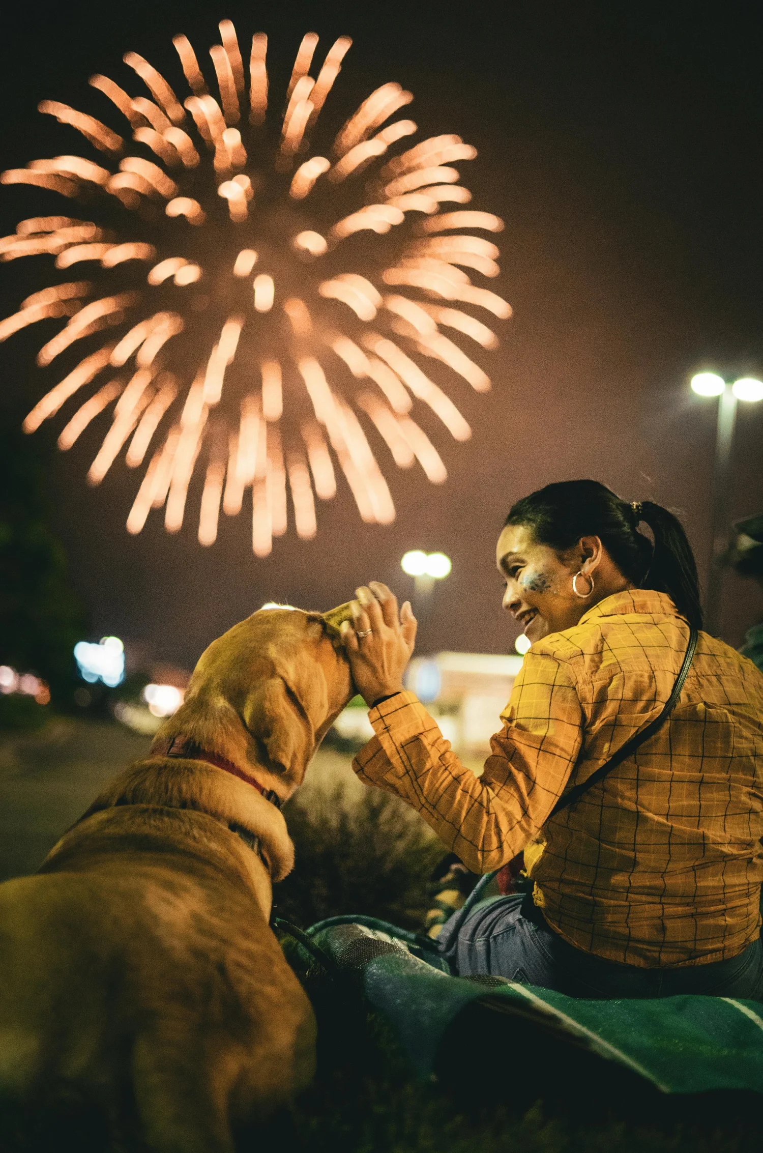 How to Keep Pets Calm and Safe During Fireworks: Expert Tips and Techniques