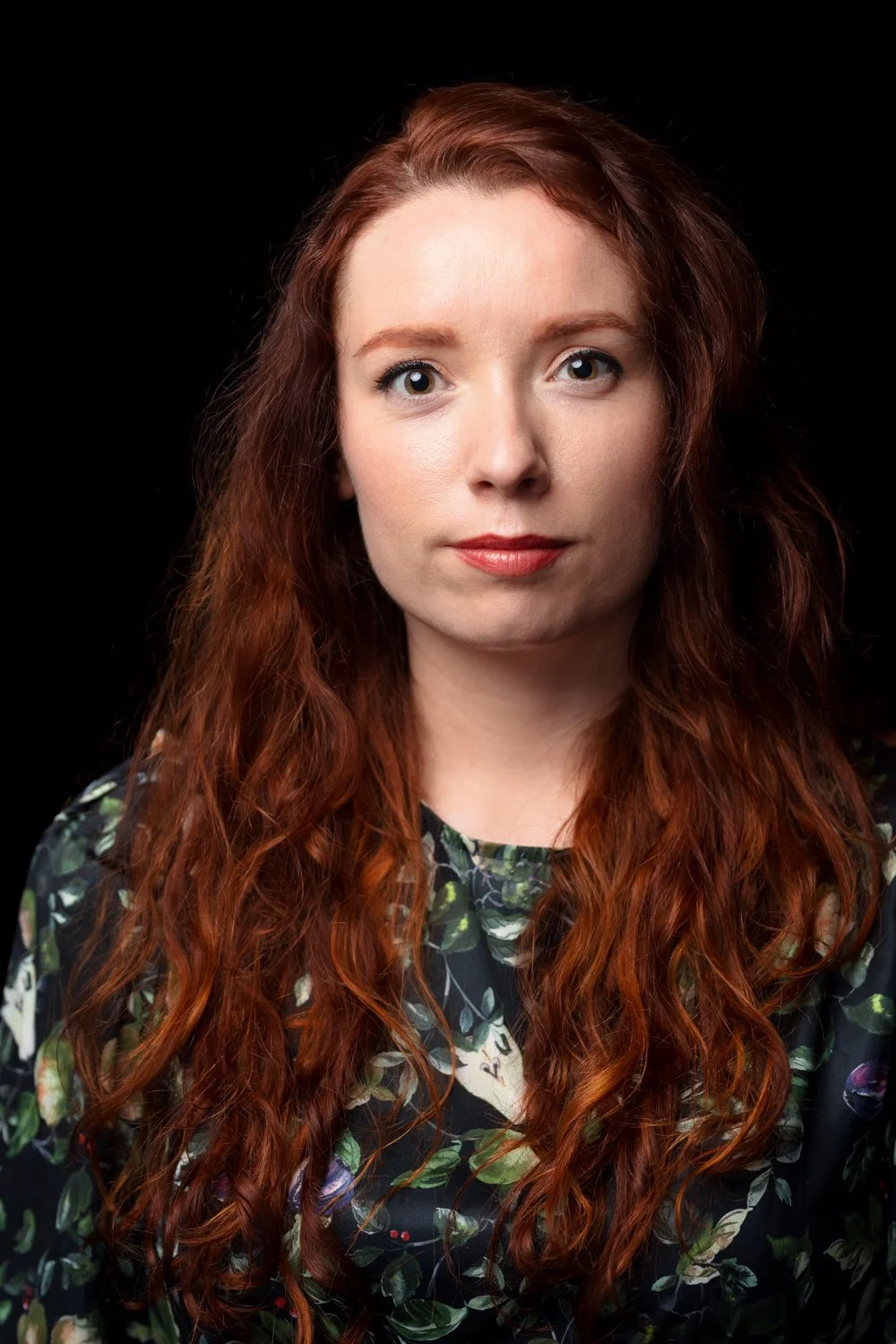 About — The Disinformation Project