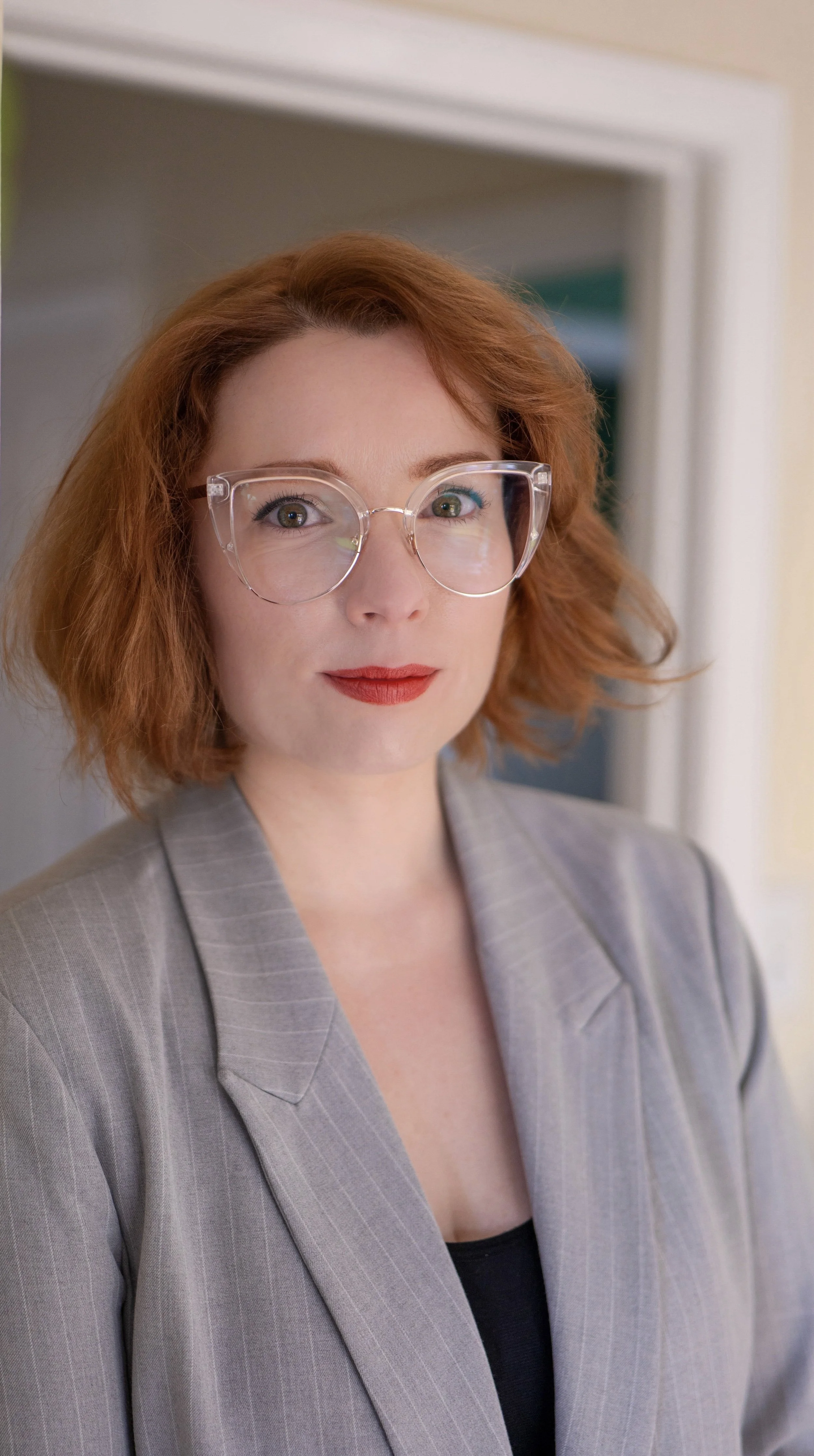 About — The Disinformation Project