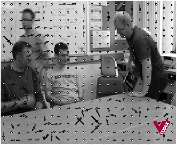 Video Coding Walkthrough — Vcodex BV