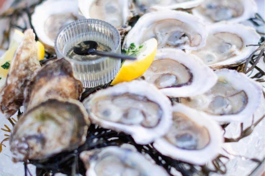 Sea Table. - A Luxury Private Dining Experience Sailing DC & Annapolis