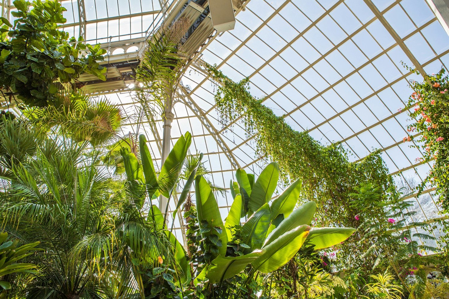 8 Design Features for Green Resorts — Sea Going Green