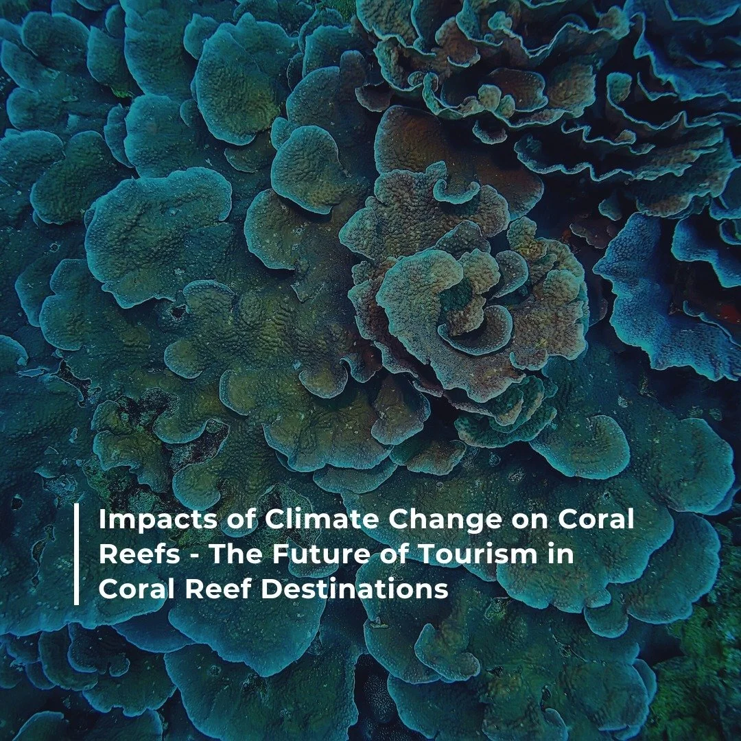 Integrating Marine Conservation Efforts Along Tourist Trails — Sea ...