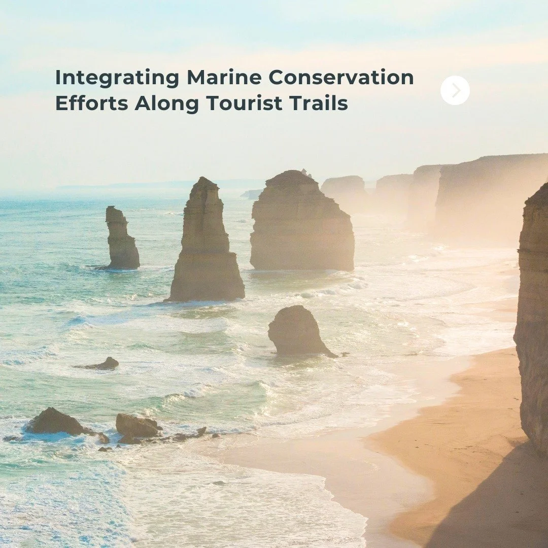 The 8 Best Ecotourism Activities for Families - THE WALDEN POST