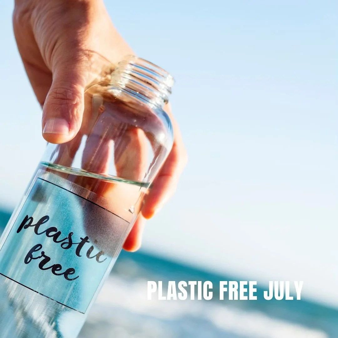 8 Design Features for Green Resorts — Sea Going Green