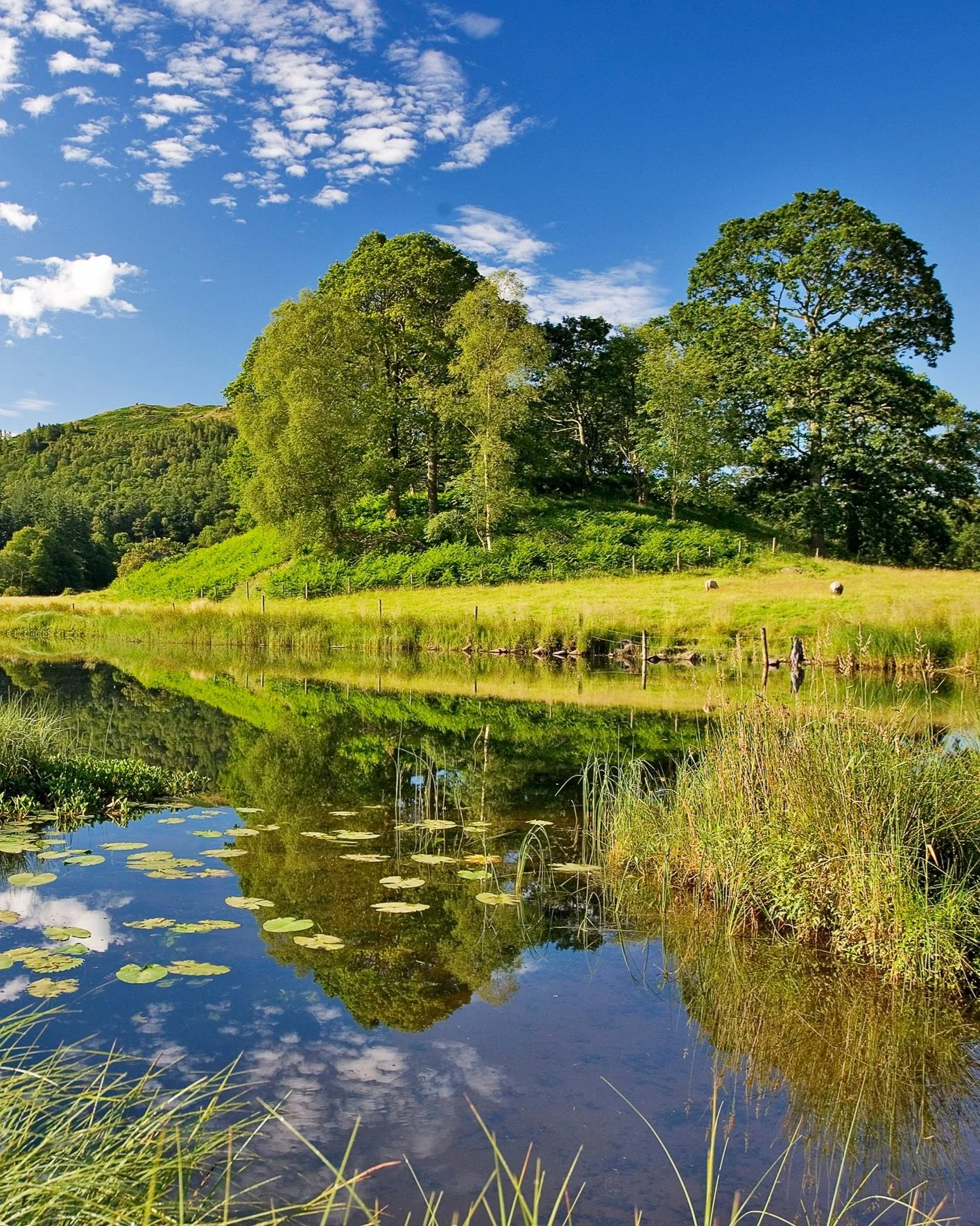 Rebalance Earth (Copy)