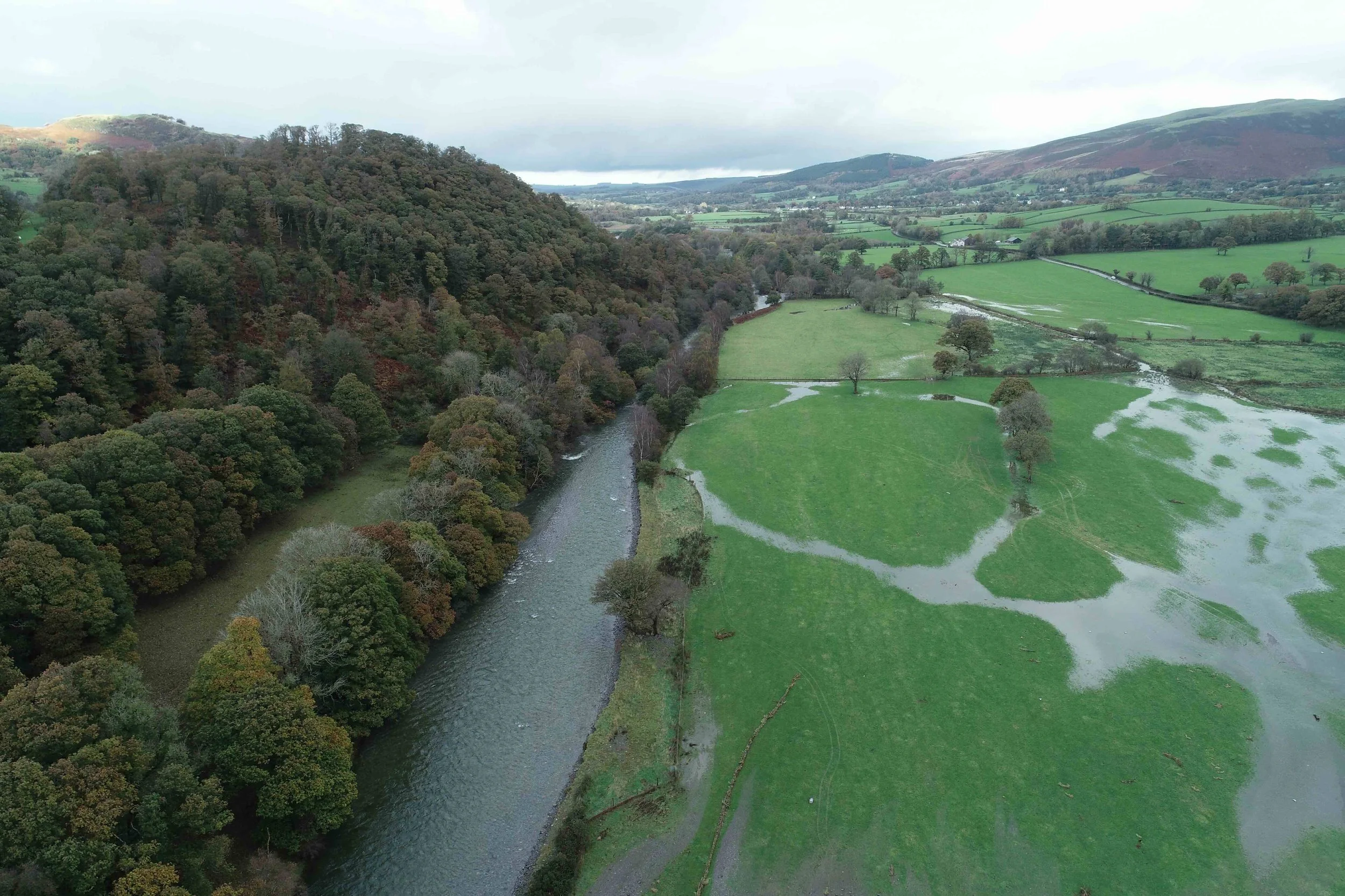 Rebalance Earth (Copy)