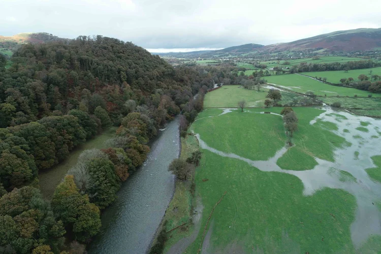 Rebalance Earth (Copy)