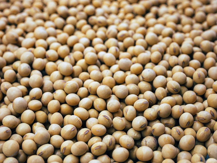 Flour & Grains — Smokin Oaks Organic Farms