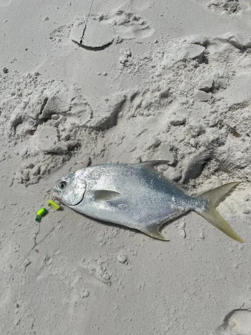 The SurfPro Story — SurfPro Tackle - top quality innovative surf fishing rigs, so all anglers ...