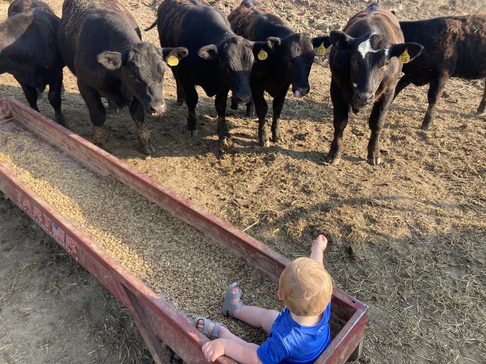 About | Family-Owned & Operated — Gum Family Farm