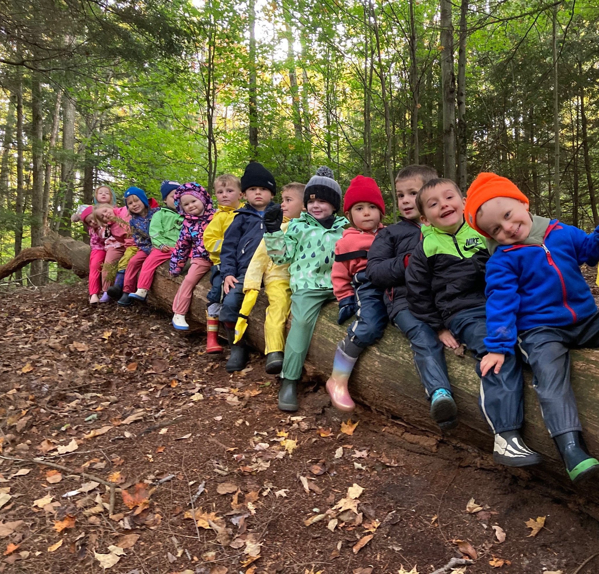 Oak Hill Forest Programs