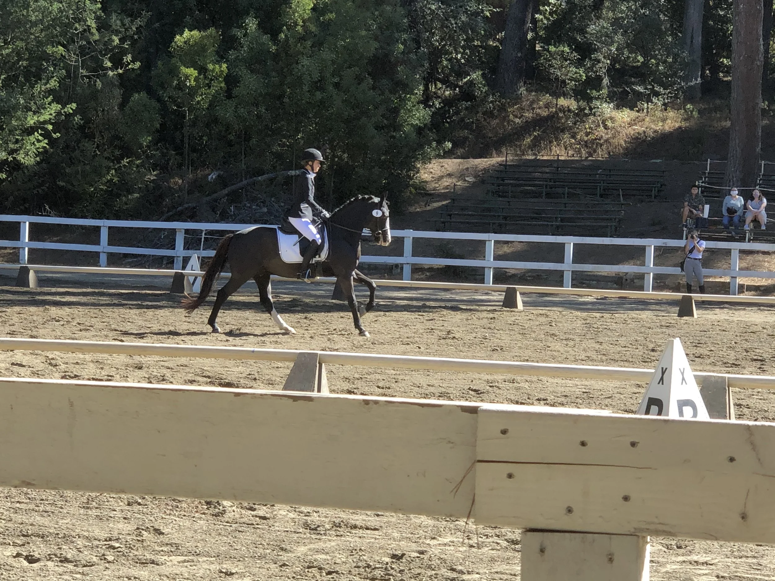 Dressage Show Registration — Metropolitan Horsemen's Association