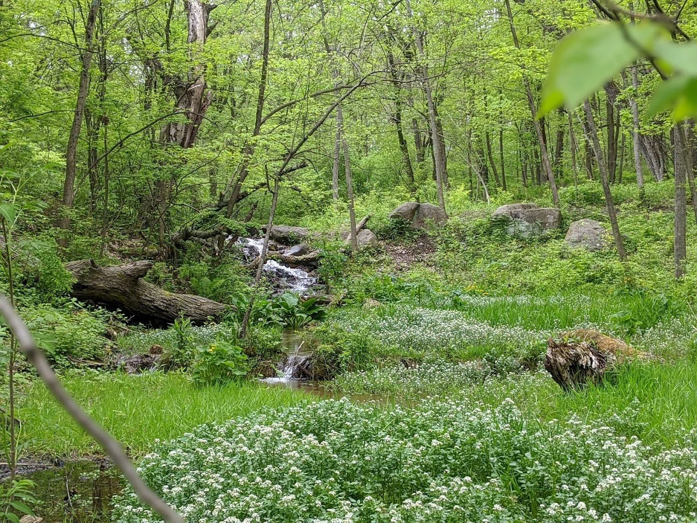 Trailbound Trips | Discover Women's Hikking Adventures