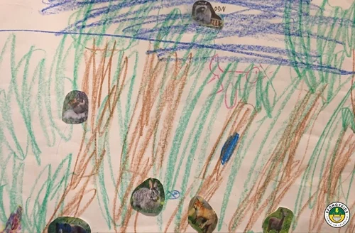 Animal Habitats For Kids: Temperate Forest | Perfect for kids who love ...