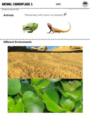 Animal Camouflage Activity Fun Science for Kids — SPONGYKIDS