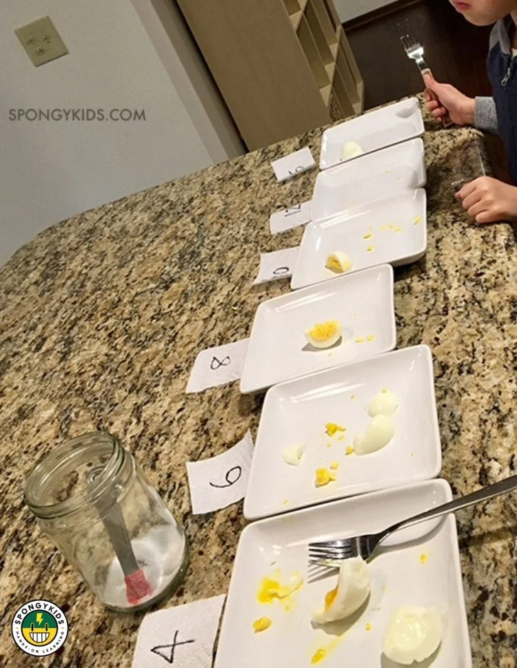 Perfect Hard-Boiled Eggs: Kid Science Fun! — SPONGYKIDS