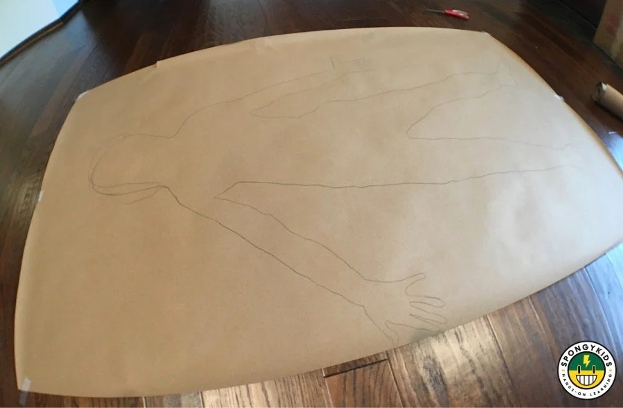 Fun Body Tracing for Kids | Human Body Basics — SPONGYKIDS