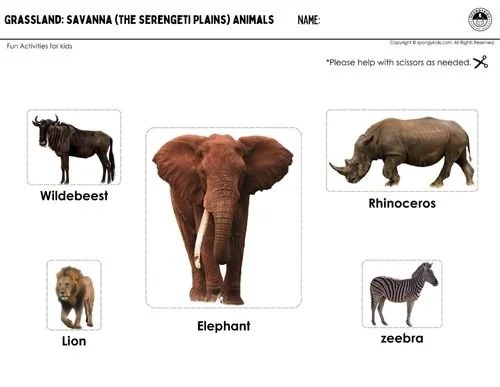 Grassland (Savanna) Animal Habitats for Kids — SPONGYKIDS