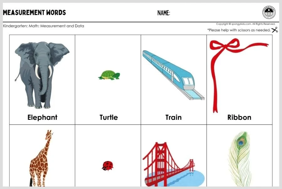 Big, Small, Tall, Short: Measurement Activities — SPONGYKIDS