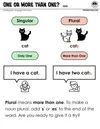 Plural Noun Anchor Chart for Kids | Add S & ES — SPONGYKIDS