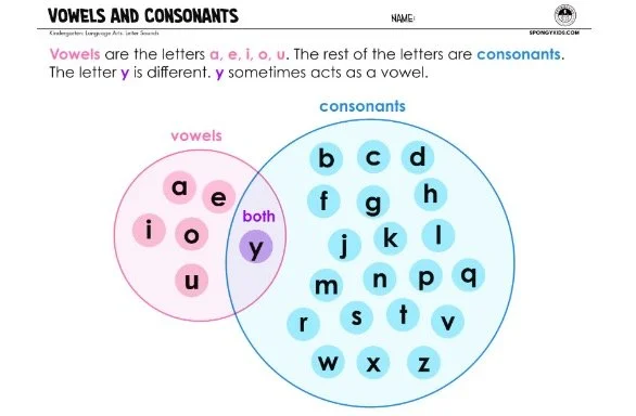 Vowels & Consonants | Anchor Charts for Kids — SPONGYKIDS