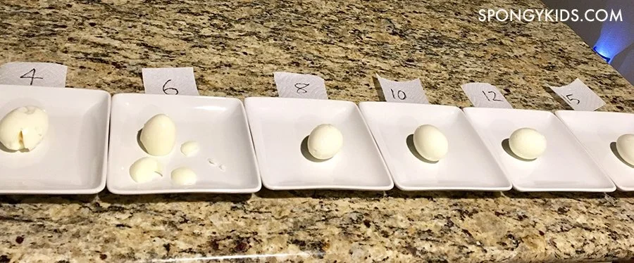 Perfect Hard-Boiled Eggs: Kid Science Fun! — SPONGYKIDS