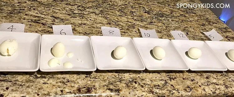 Perfect Hard-Boiled Eggs: Kid Science Fun! — SPONGYKIDS