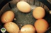 Perfect Hard-Boiled Eggs: Kid Science Fun! — SPONGYKIDS