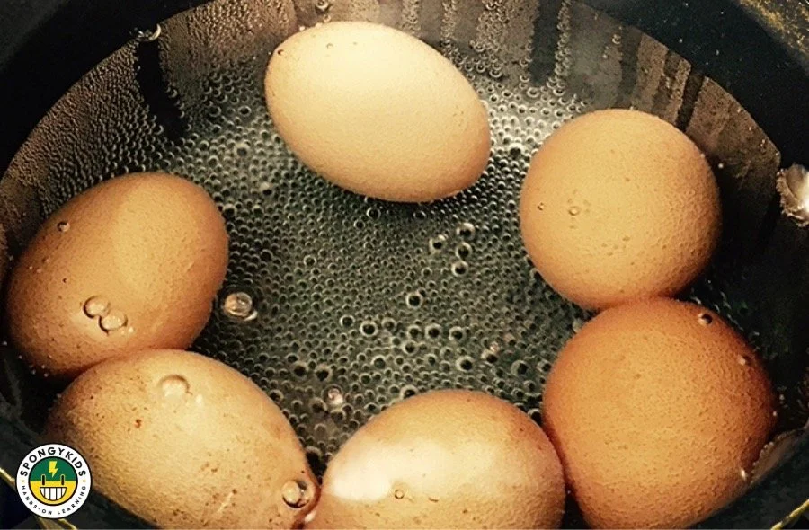 Perfect Hard-Boiled Eggs: Kid Science Fun! — SPONGYKIDS