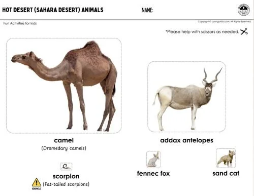 Hot Desert Animals: Animal Habitats for Kids — SPONGYKIDS