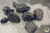 Salt Water Evaporation Experiment STEM for Kids — SPONGYKIDS