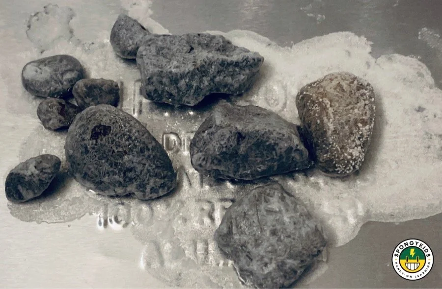 Salt Water Evaporation Experiment STEM for Kids — SPONGYKIDS