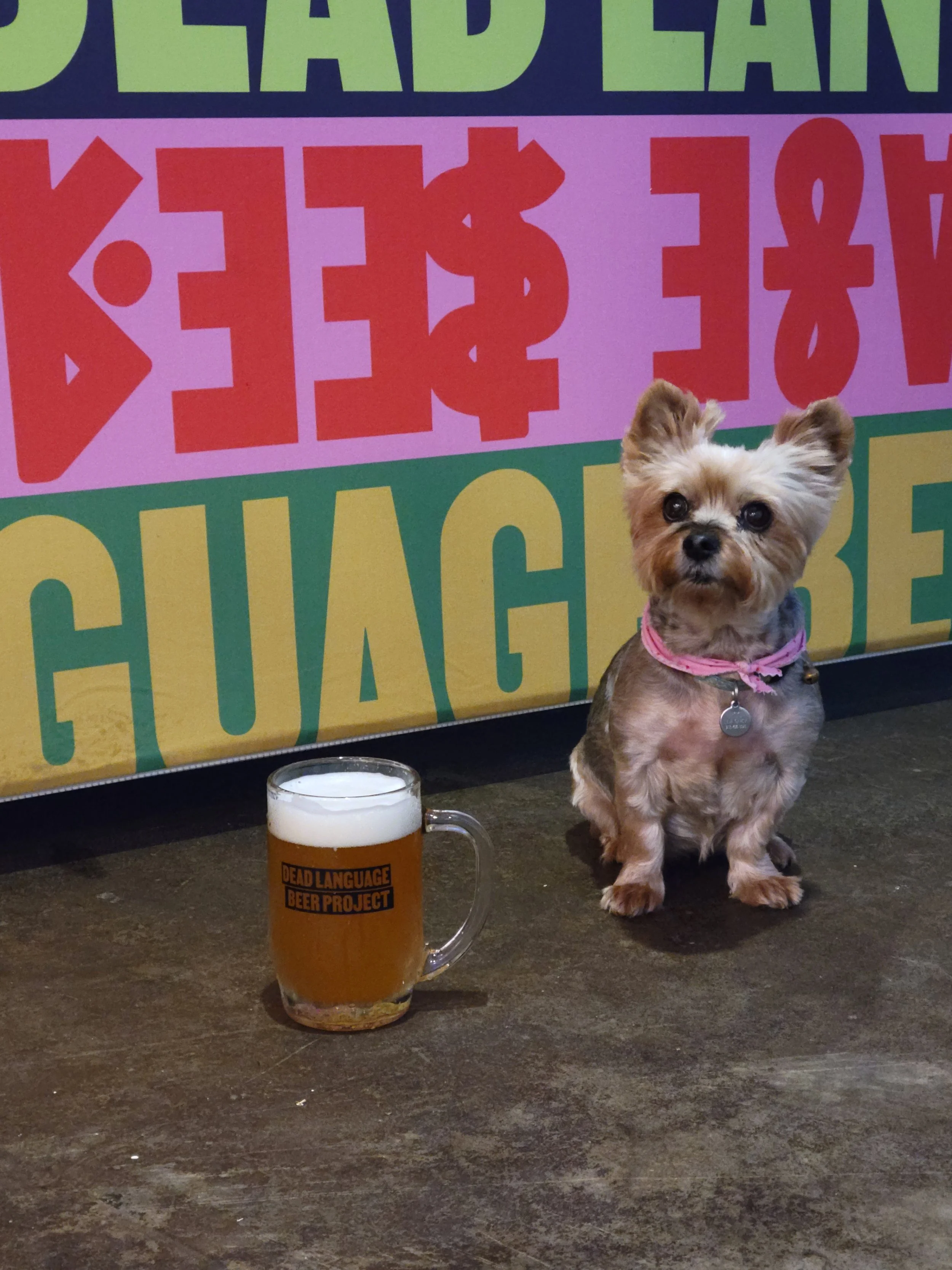 Dead Language Beer Project