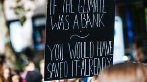 What is Social Impact? Definition, Types, & Examples — The Impactful