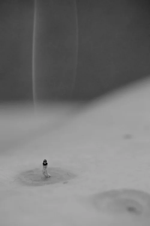 Moxabustion, What is it and How does it work? — AcuBliss Acupuncture ...