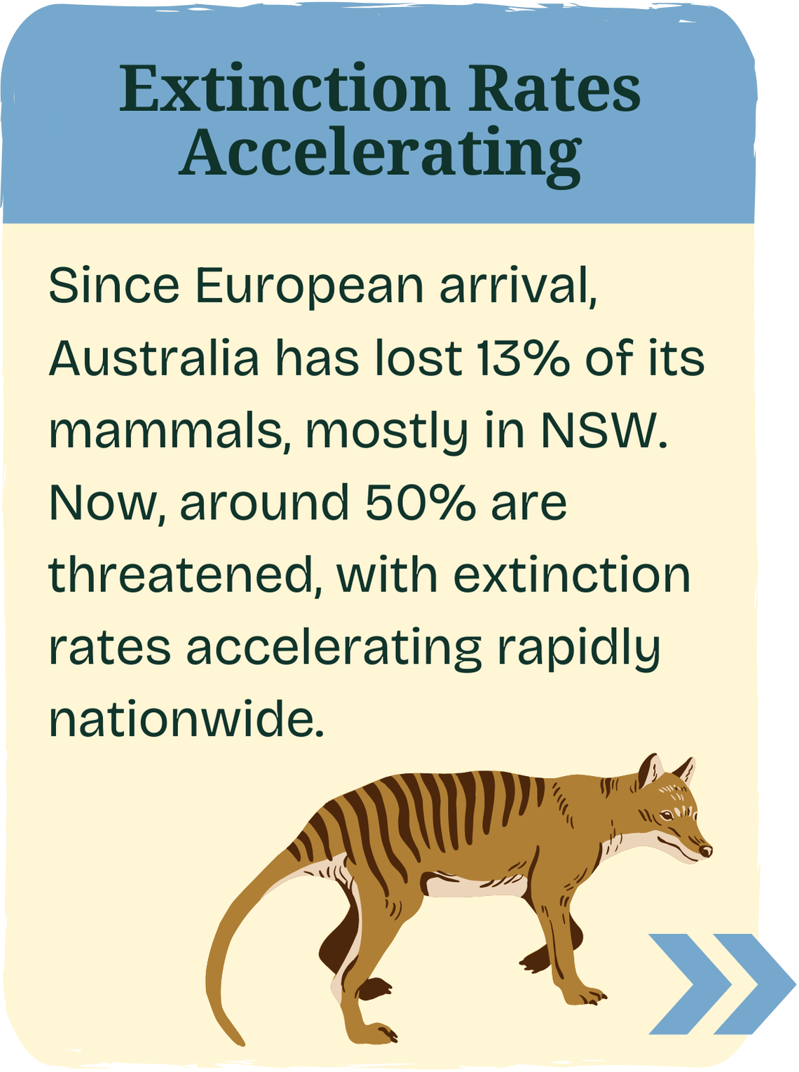 Banyula — Corymbia Biodiversity Project